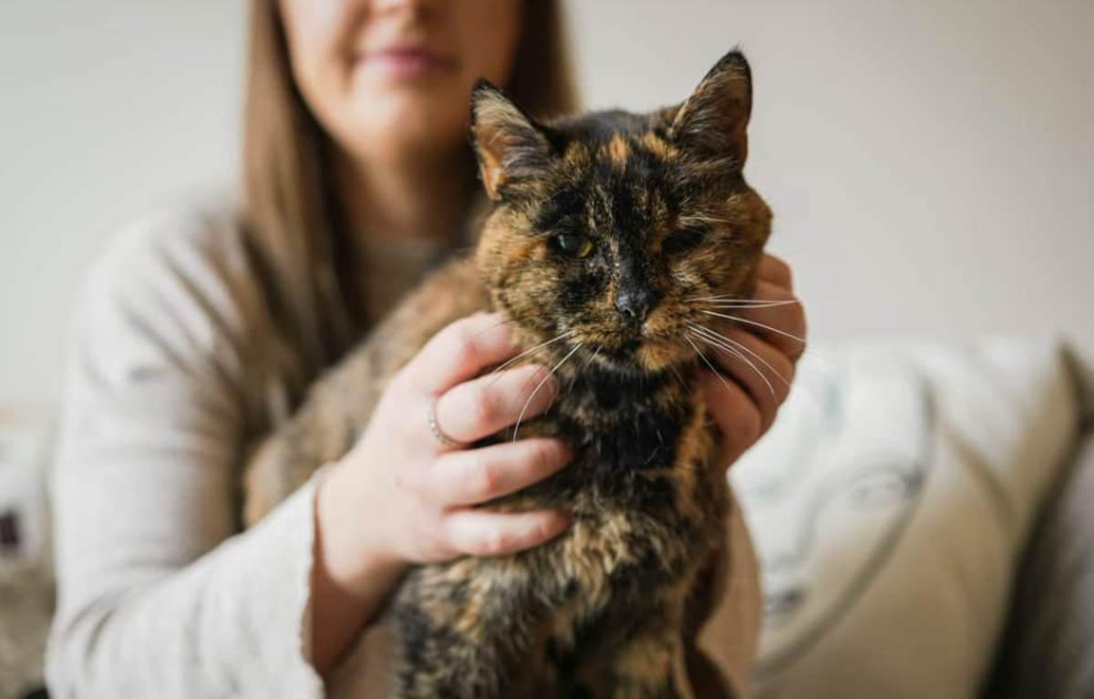 Meet Flossie: World’s oldest cat crowned in UK Meet Flossie: World’s oldest cat crowned in UK